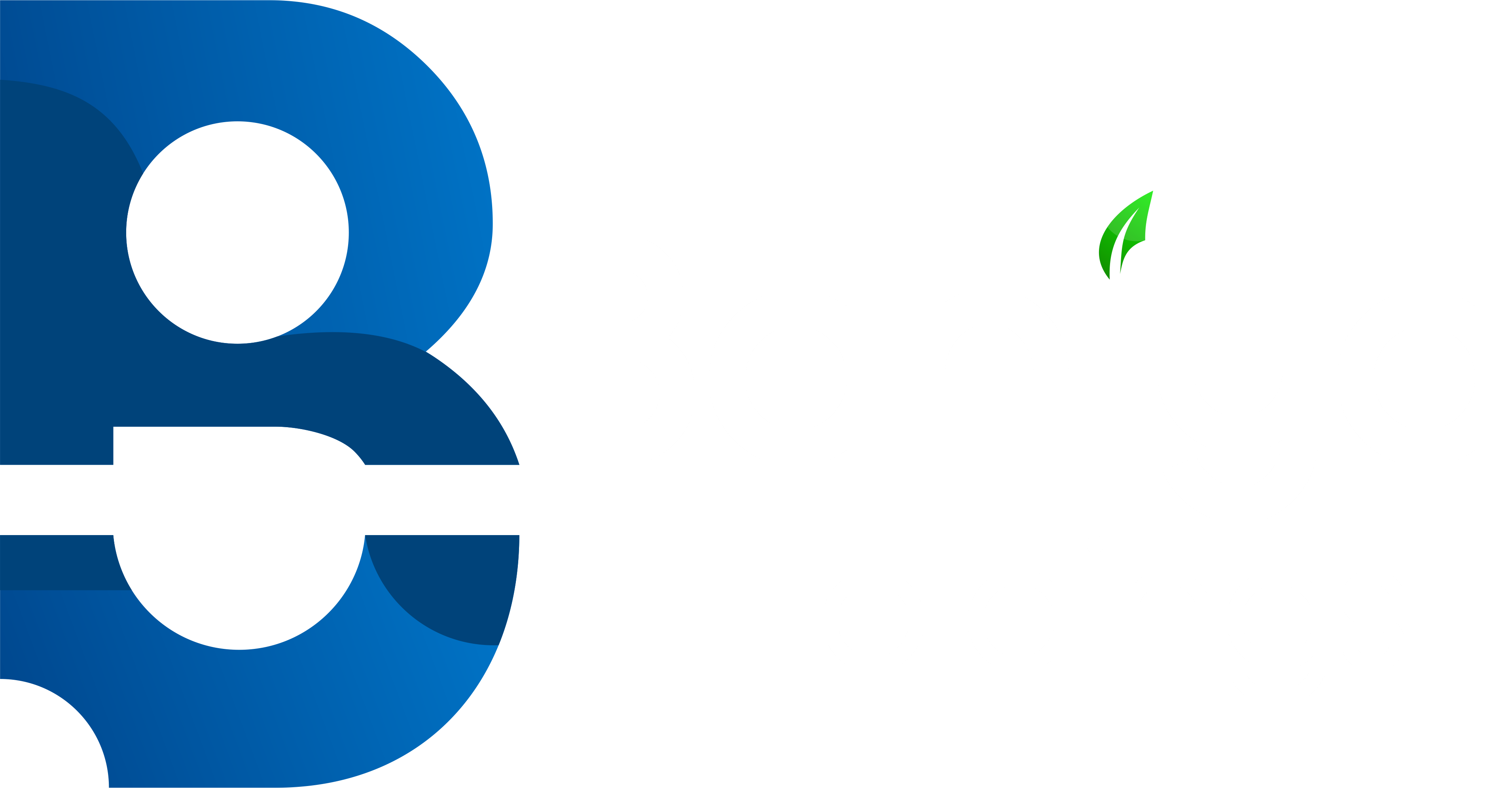 Baniya Holdings